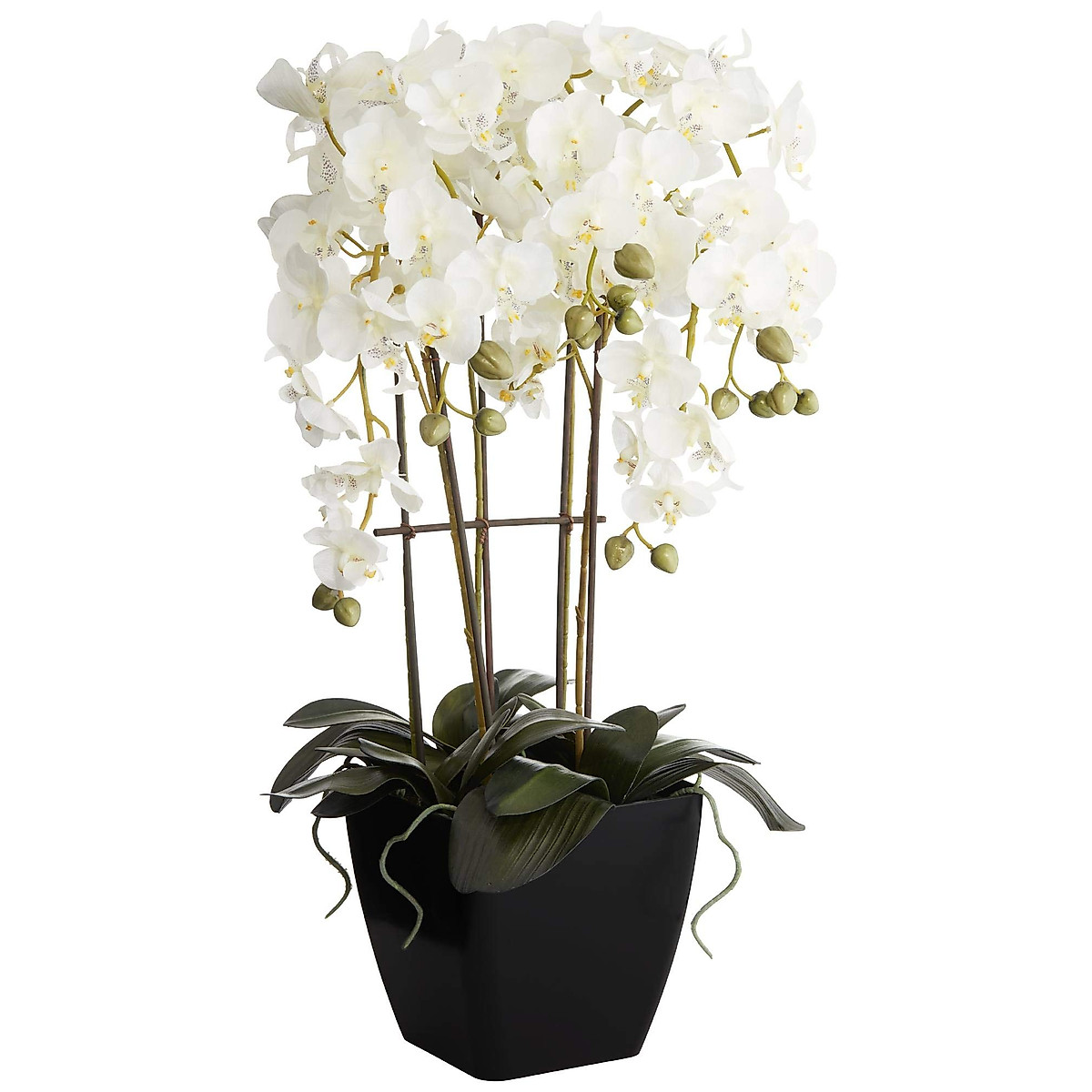 Dahlia Studios Potted Faux Artificial Flowers Arrangements Realistic White Phalaenopsis Orchid in Black Pot Home Decoration Living Room Office Bedroom Bathroom Kitchen Dining Room 25 1/2" High