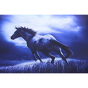 13.3-Inch to 14-Inch Laptop Sleeve Case Neoprene Carrying Bag with Hidden Handles for MacBook/Notebook/Ultrabook/Chromebooks (Blue Horse)