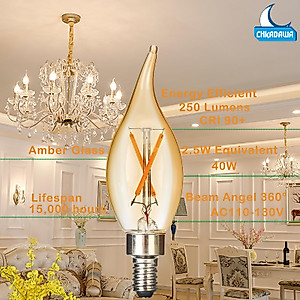 CHKADAWA 12 Pack E12 Dimmable Amber Candelabra Light Bulbs, Flame Tip 40 Watts Equivalent, Chandelier Light Bulbs CA11, Vintage Candle LED Bulb, Warm White 2200K, CRI 90+