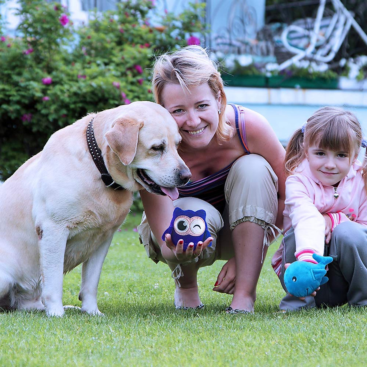 AWOOF Puppy Toys, 10 Pack Cute Puppy Plush Chew Squeaky Dog Toys for Boredom, Puppy Teething Toys for Medium to Small Dogs