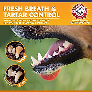 Arm & Hammer for Pets Complete Care Dog Dental Mints in Resealable Bag, Beef Flavor Baking Soda Enhanced Dog Dental Care Mints for Fresh Breath, 40 Mints
