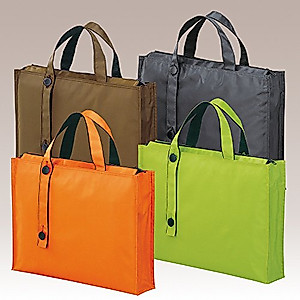 Lihit Lab Carrying Bag, Black, 11.8 x 15.7 Inches (A7651-24)