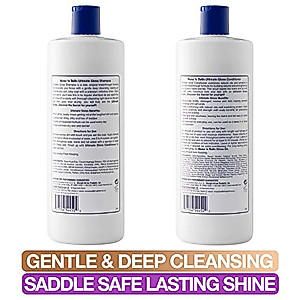 Mane 'n Tail Ultimate Gloss Combo Set for The Ultimate Long Lasting Shine 32 Ounce