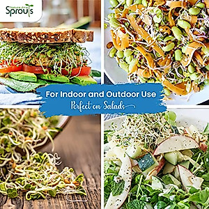 Nature Jims Alfalfa Sprout Seeds – 16 Oz Organic Sprouting Seeds – Non-GMO Premium Alfalfa Seeds – Resealable Bag for Longer Freshness – Rich in Vitamins, Minerals, Fiber