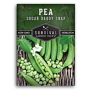 Survival Garden Seeds - Sugar Daddy Snap Pea Seed for Planting - Packet with Instructions to Plant and Grow in Delicious Pea Pods Your Home Vegetable Garden - Non-GMO Heirloom Variety