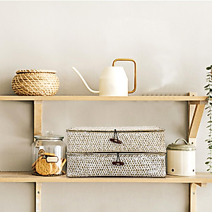 BTSKY 2 Pack Wicker Baskets With Lids Flat Woven Storage Bins for Shelf Organizing Natural Seagrass Storage Baskets with Lids Home Utility Organizer Box for Home & Office Supplies, Whitewash (Large)