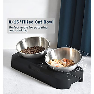 Cat Bowls - Elevated Cat Food Bowls, Anti Vomiting Cat Bowl Set, Stainless Steel Cat Bowls,Cat Bowls for Food and Water, Raised Cat Bowls for Indoor Cats, Orthopedic Cat Bowl