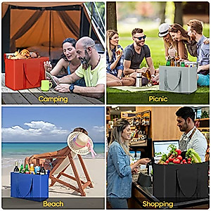 BALEINE 2Pk Insulated Reusable Grocery Bags, Collapsible Cooler Bag for Groceries, Heavy Duty Large Insulated Bag (16''x9''x13'', Spring Stroll)