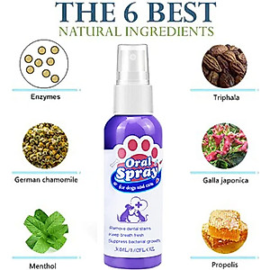 Petry Oral Spray, Petry Teeth Cleaning Spray for Dogs & Cats, Pet Breath Freshener Spray Care Cleaner 60ml, Pet Oral Spray Clean Teeth, Dog and Cat Natural Breath Freshener