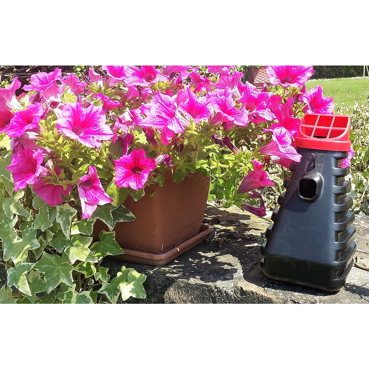 Grandpa Gus's Outdoor Mosquito Trap, Water-Activated Insecticide-Texturized Mosquito Larvae Killer, Protects up to 1500 sq ft (Pack of 2)