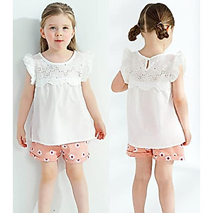 Happy Town Toddler Kids Baby Girls Outfits Clothes T-Shirt Blouse Tops and Floral Shorts Pants Suit 2PCS Set (2T, Pink)