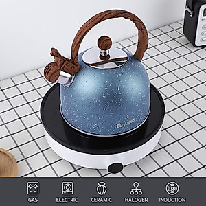 BELANKO 2.3 Quart / 2.5 Liter Stainless Steel Tea Kettles, Food Grade Stovetops Tea pot with Wood Pattern Handle Loud Whistling for Tea, Coffee, Milk etc, Gas Electric Applicable - Blue