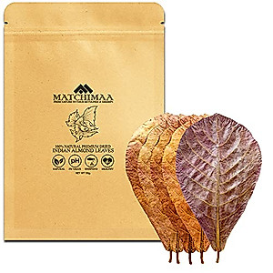 MATCHIMAA Premium Indian Almond Leaves. Aquarium Decorations Size 4-6 in Pack 50g(25-35 Leaves). Catappa Leaves Rich Tannin. Superb to be Health Better, Succesful Breeding of Betta & Hermit Crabs
