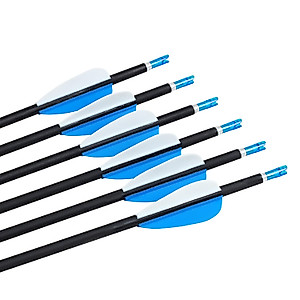 FENJANER Archery 30inch Carbon Arrow Spine 500 Practice Hunting Arrows with Removable Tips for Compound Bow and Recurve Bow (Pack of 12) (6mm-blue)