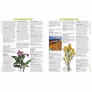 DK Encyclopedia of Herbal Medicine: 550 Herbs Loose Leaves and Remedies for Common Ailments