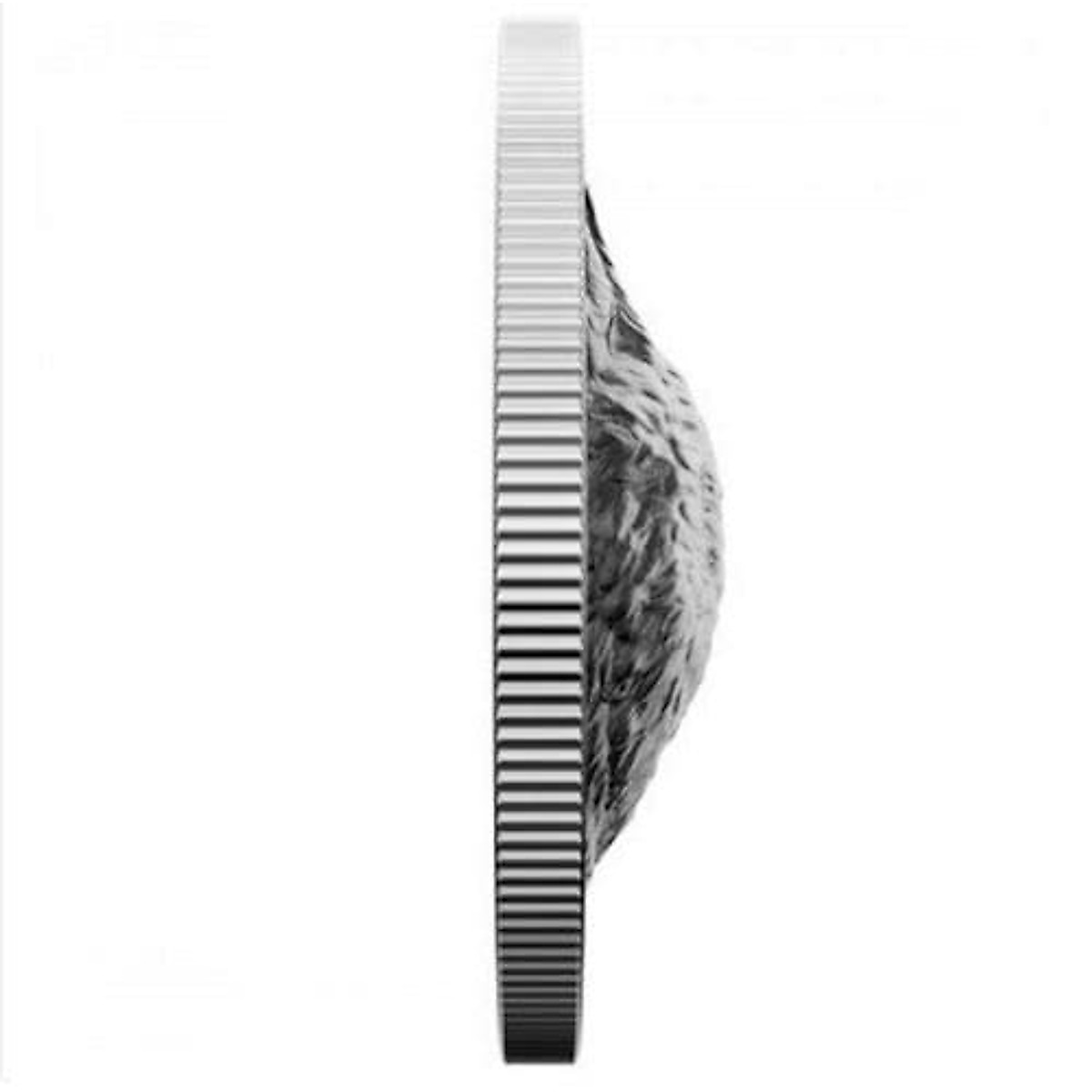 2022 CA Canada Coin Canadian Extraordinary High Relief Proof Timber Wolf S$25 NGC PF70