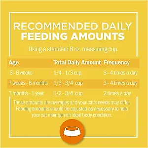 Purina Kitten Chow Nurture Kitten Dry Cat Food, 3.15 LB (Pack of 2)