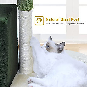 BYPASS Cat Tree 30" Cactus Cat Tower with Sisal Scratching Post for Indoor Cats, Cozy Condo with Hammock, Plush Perches and Dangling Ball, Cat Furniture for Kittens Small Cats