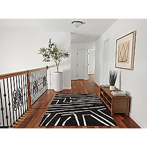Momeni Noho Polyester Area Rug, Black, 3'11" X 5'7" Sized Rug for Living Room, Bedroom, Dining Room, and Kitchen