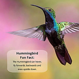Sapphire Labs Nectar Defender - Hummingbird Nectar Extender That Prolongs The Life of Nectar for Hummingbird Feeders - It Works Exceptionally Well During Warm Weather Months - 2 Pack