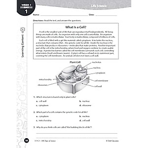180 Days™: Science, Earth and Space Science for 6th Grade Practice Workbook for Classroom and Home, Cool and Fun Practice Created by Teachers (180 Days of Practice)