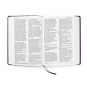 CSB Super Giant Print Reference Bible, Value Edition, Purple LeatherTouch, Red Letter, Presentation Page, Cross-References, Full-Color Maps, Easy-to-Read Bible Serif Type