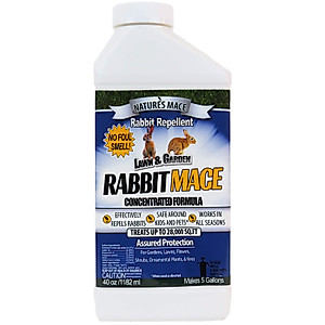 Nature’s MACE Rabbit Repellent 40oz Concentrate/Covers 28,000 Sq. Ft. / Rabbit Repellent and Deterrent/Keep Rabbits Out of Your Lawn and Garden/Safe to use Around Children & Plants