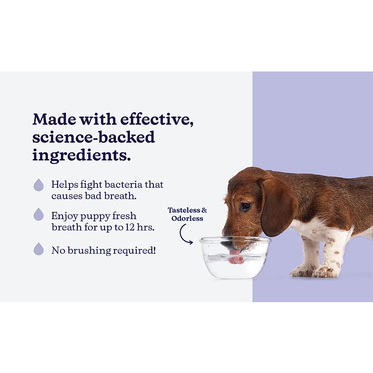 ROSEY'S PUPPY FRESH BREATH - Dog Water Additive for Dental Care - Maintains Fresh Breath & Clean Teeth for Dogs - Dog Breath Freshener for Promoting Healthy Gums & Fights Plaque Buildup - 8 Oz