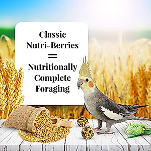 LAFEBER'S Classic Nutri-Berries Pet Bird Food, Made with Non-GMO and Human-Grade Ingredients, for Cockatiels (4 lb)