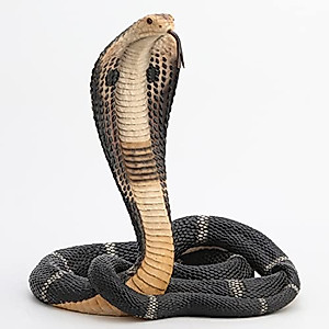 Veronese Design Coiled and Rearing King Cobra Sculptured Statue