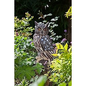 VA Horned Eagle Owl Resin Statue, Fake Owl, Fake Statue, Fake Owls, Garden Owl, Owl Décor, Realistic Owl, Owl Yard Décor, Owl.
