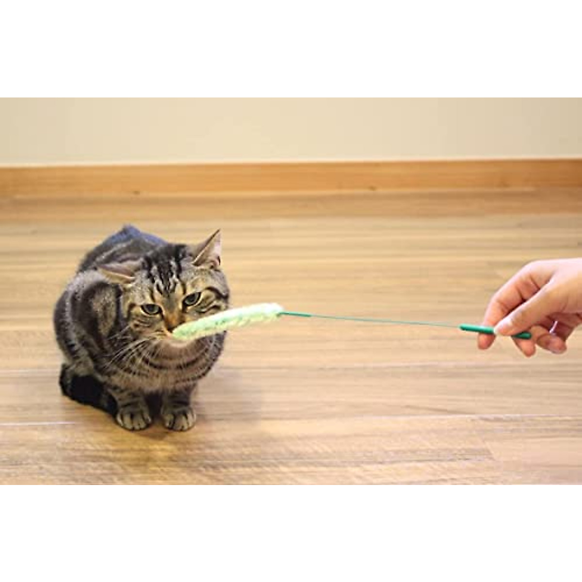 Catty Man Cat Play Grass, Jareneko Setaria 2 pcs. Set. Interactive Cat Teaser Wand Made in Japan