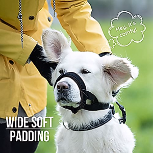 Gentle Muzzle Guard for Dogs - Prevents Biting and Unwanted Chewing Safely Secure Comfort Fit - Soft Neoprene Padding – No More Chafing – Training Guide Helps Build Bonds with Pet (M, Grey)
