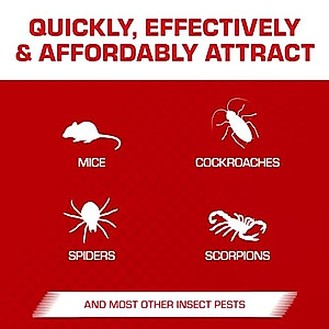 Tomcat Super Hold Glue Traps Mouse Size for Mice, Cockroaches, Spiders, and Scorpions, Ready-To-Use, 4 Traps