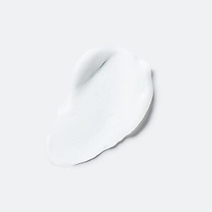 EVOLVh - Natural UltraShine Moisture Conditioner | Vegan, Non-Toxic, Clean Hair Care (8.5 fl oz | 250 mL)