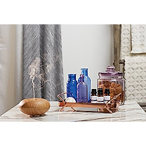 Gaiam Relax Essential Oils (4 Pack)