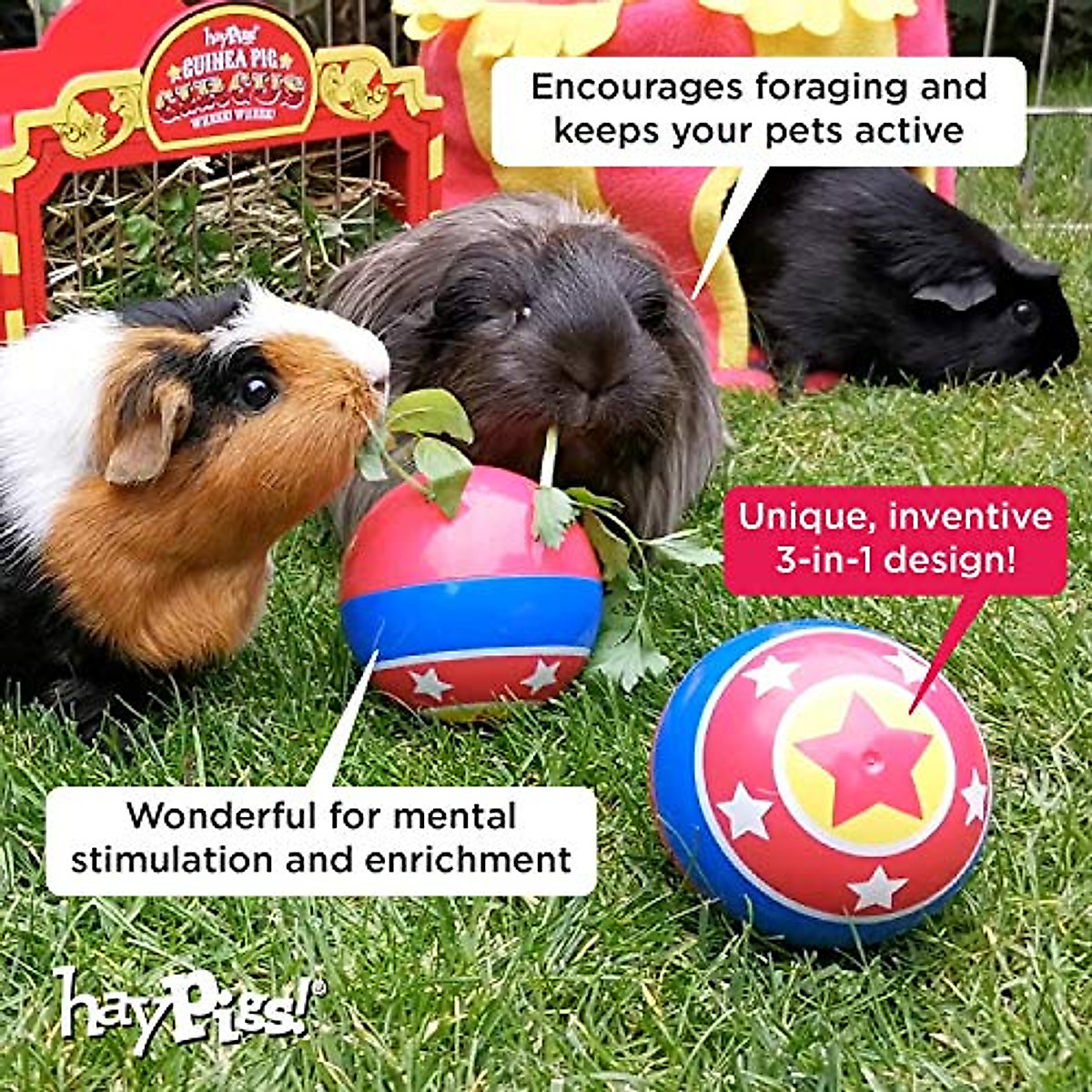 HAYPIGS 1x Circus Themed Guinea Pig Treat Ball - Guinea Pig Toys and Accessories - Rabbit Enrichment Toys Small Animal Toy - Small Pet Activity Ball - Pet Entertainment