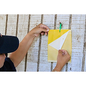 Insectifuge 30Pcs Dual-Sided Yellow Sticky Traps for Plant Gnats - Waterproof Fly Paper Outdoor Indoor for Fungus Gnat Trap, Fly Tape Outdoor for Whiteflies, Aphids, Leafminers, Fruit Fly Sticky Traps