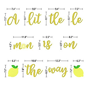 A Little Lemon is on the Way Banner, Gold Glitter Baby Shower Theme Party Decorations, Boys Girls Birthday Party Supplies
