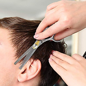 Equinox International, Professional Hair Scissors, Japanese Stainless Steel-Barber Hair Cutting Texturizing Thinning Razor Edge Series Teeth Shears for Men/Women/Kids/Salon & Home-6.5" Overall Length