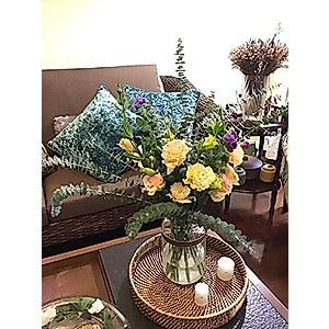 16.9 inch Rattan Tray, Round Wicker Tray with Cut-Out Handles, Woven Serving Tray for Dining/Coffee Table