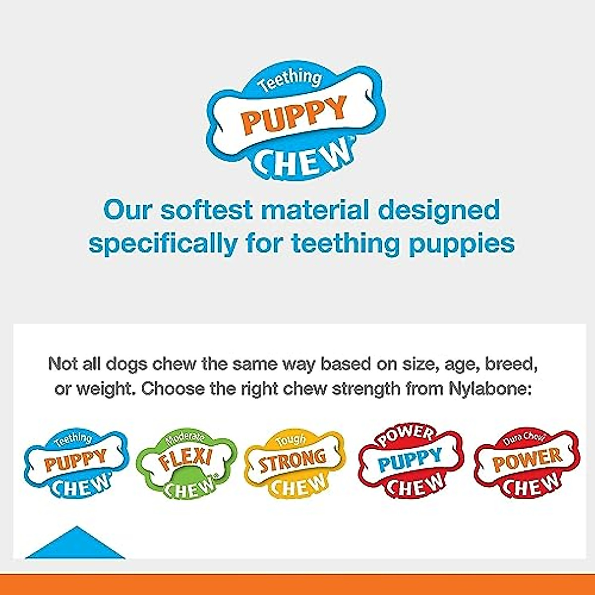 Nylabone Puppy Chew Keys Toy - Puppy Chew Toys for Teething - Puppy Supplies - Bacon Flavor, Small (1 Count)