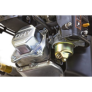 WEN PW3200 Gas-Powered 3200 PSI 208cc Pressure Washer, CARB Compliant, Black