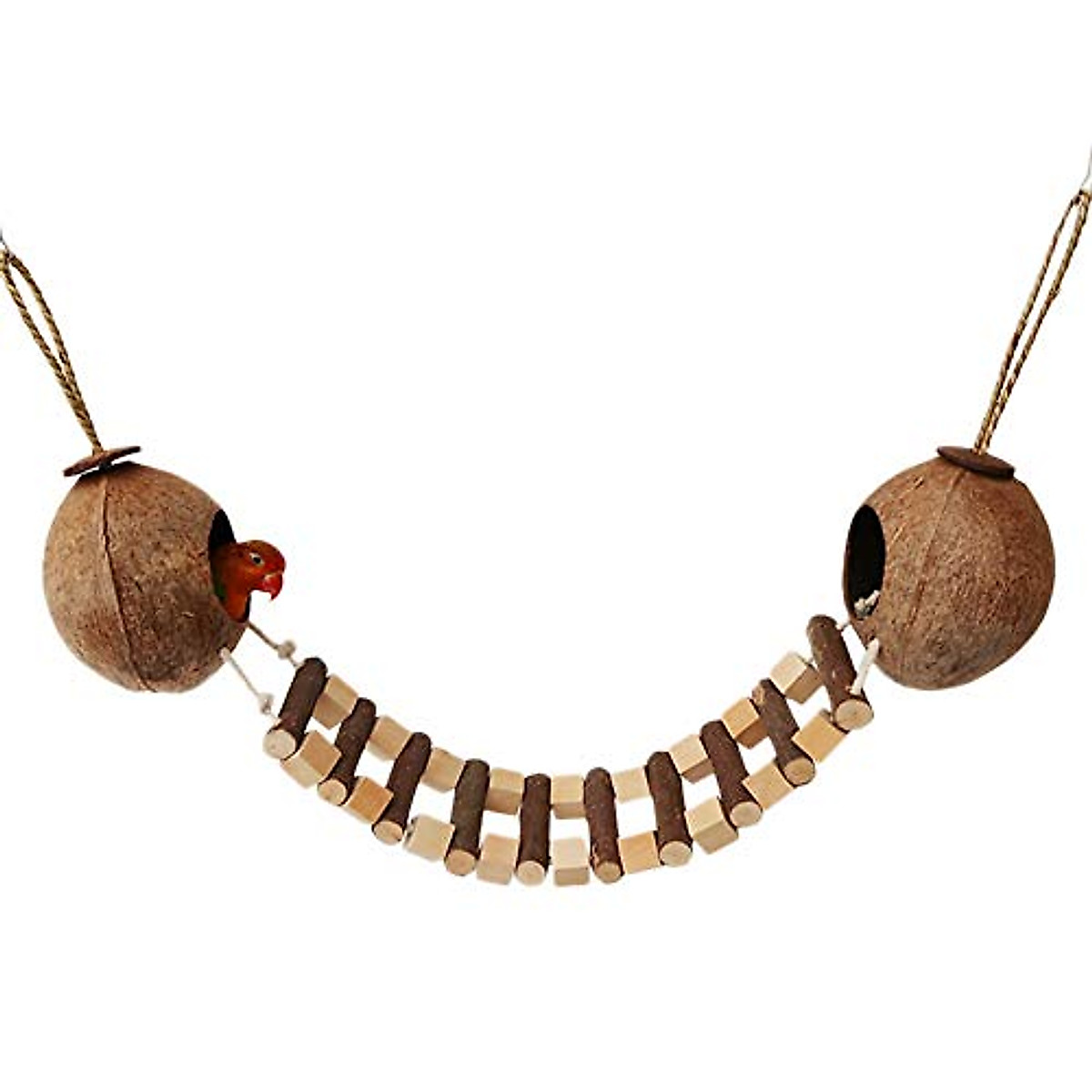 Coconut Bird Nest with Ladder for Parrots Parakeet Conures Lovebird Cockatiel Finch Canary, Small Animals Hideaway Hut, Coconut Shell Bird Cage Toy, Natural Coconut Squirrel House Hanging Loop