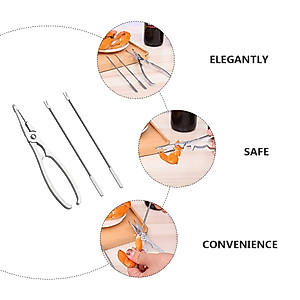 Cabilock Kitchen Utensil Set Shelled Nuts 3pcs Seafood Tools Set Stainless Steel Crab Leg Crackers Picks Nut Forks Lobster Crackers Shell Crackers Kitchen Accessories Kitchen Utensil Set Shelled Nuts