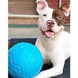 Jolly Pets Large Soccer Ball Floating-Bouncing Dog Toy, 8 inch Diameter, Ocean Blue