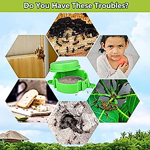 Ant Traps Bait Indoor,Ant Traps Killer Indoor Outdoor,Effective Liquid Ant Bait Killer,Ready-to-Use Ant Bait Traps Indoor,Kills Common Household Ants,Ants Killer for House,Kitchen,Garage,Garden