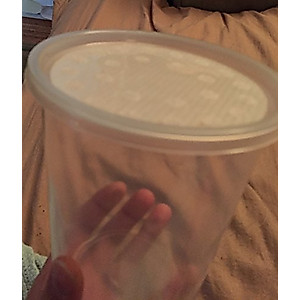 Dubia Roaches 100 Mixed Size for Feeding Reptiles by Copper Dragon's Roaches