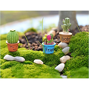 7 in 1 Dollhouse Decoration Plant Pots Miniature Green Potted Miniature Bonsai Model Dollhouse Accessories Decor,1 12 Scale Doll House Miniature Plant Model (7 dersert Plants Bots)