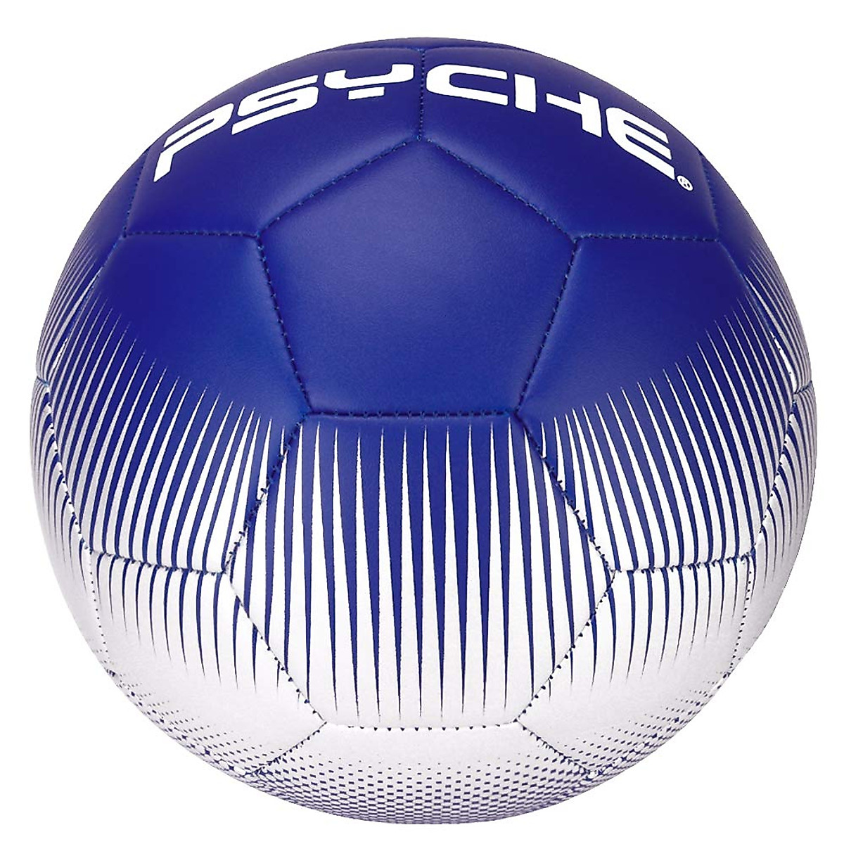 Wisdom Leaves Soccer Ball Size 4 for Kids Youth Match Play Games or Training Indoor Outdoor Backyard and Pack